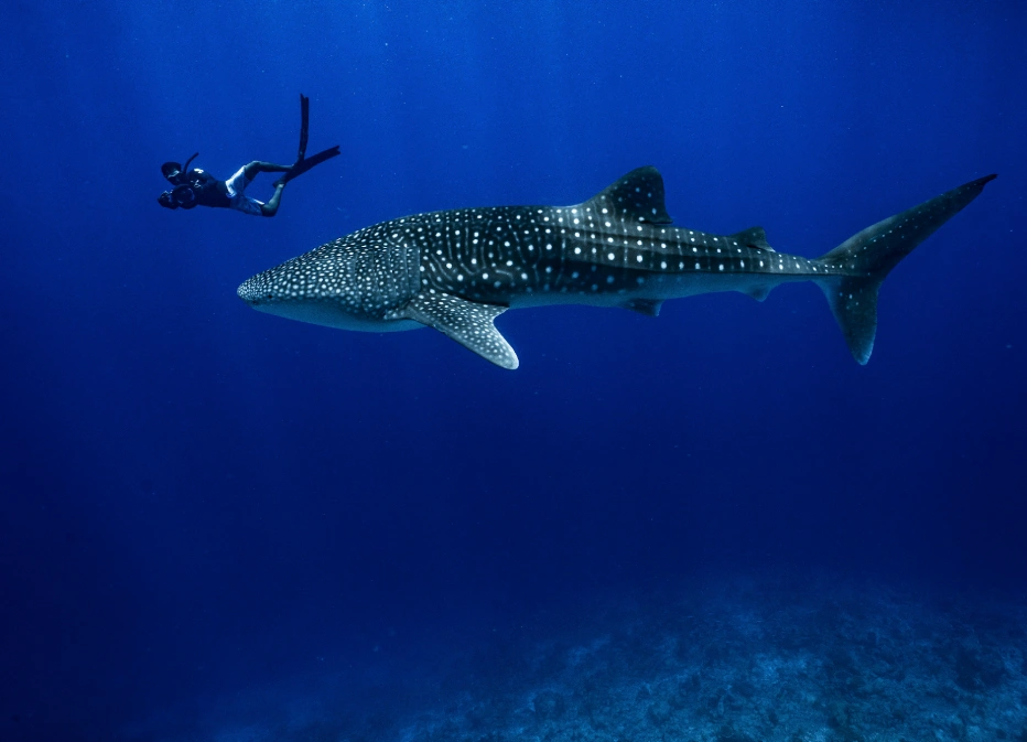 Maamigili Maldives